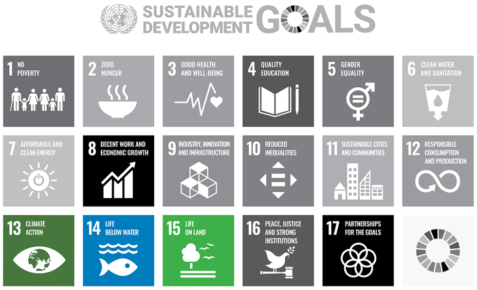 SDGs addressed - Sdgs-eyes.eu